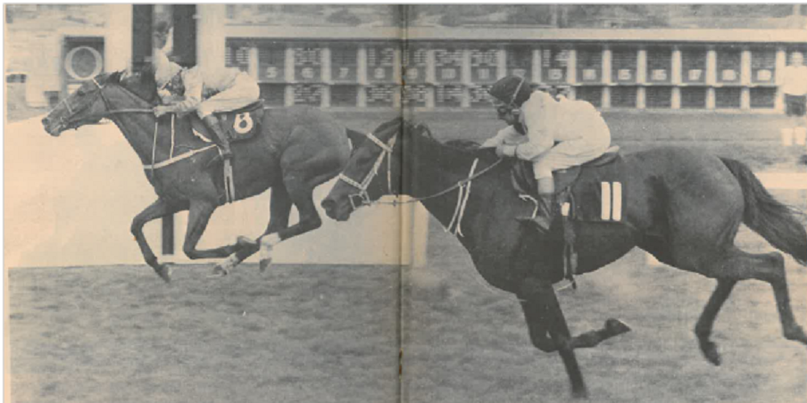 champions from each track - Page 5 - Thoroughbred Cafe - RaceCafe NZ's ...