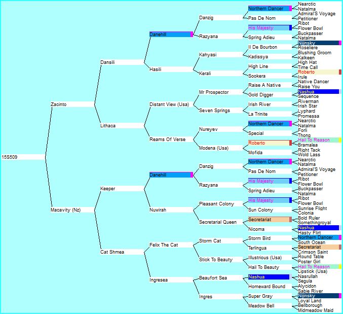 Inbreeding to Danehill - Thoroughbred Breeding - RaceCafe NZ's Premier ...