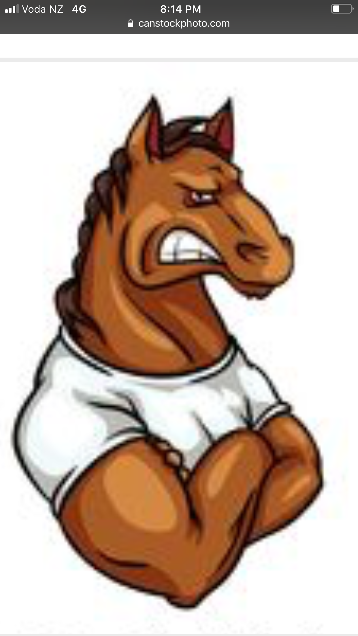 Stephen McKee 327K Lighter - Thoroughbred Cafe - RaceCafe NZ's Premier ...