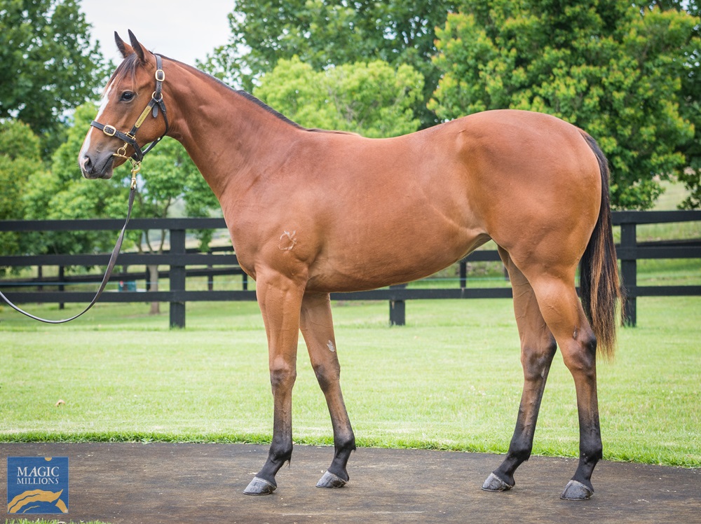 Quality running in Australia - Thoroughbred Cafe - RaceCafe NZ's ...