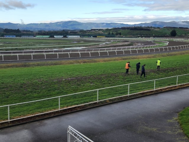 Awapuni Synthetic almost ready. - Thoroughbred Cafe - RaceCafe NZ's ...