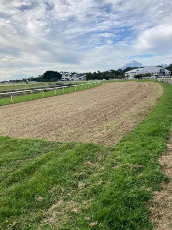 New Plymouth Track Still In Strife. - Page 2 - Thoroughbred Cafe ...