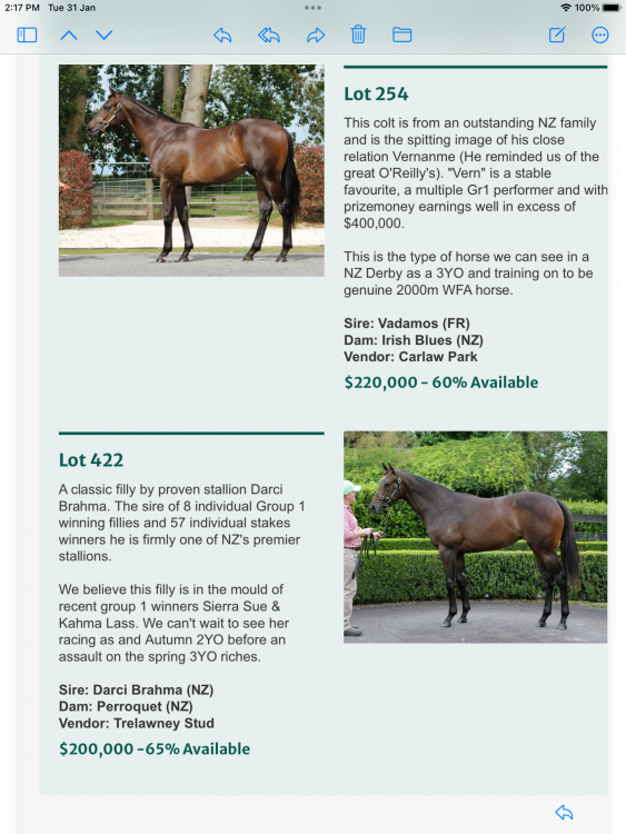 Karaka 2023 - Thoroughbred Cafe - RaceCafe NZ's Premier Racing Community