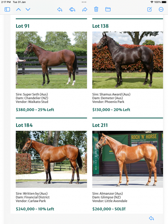 Karaka 2023 - Thoroughbred Cafe - RaceCafe NZ's Premier Racing Community