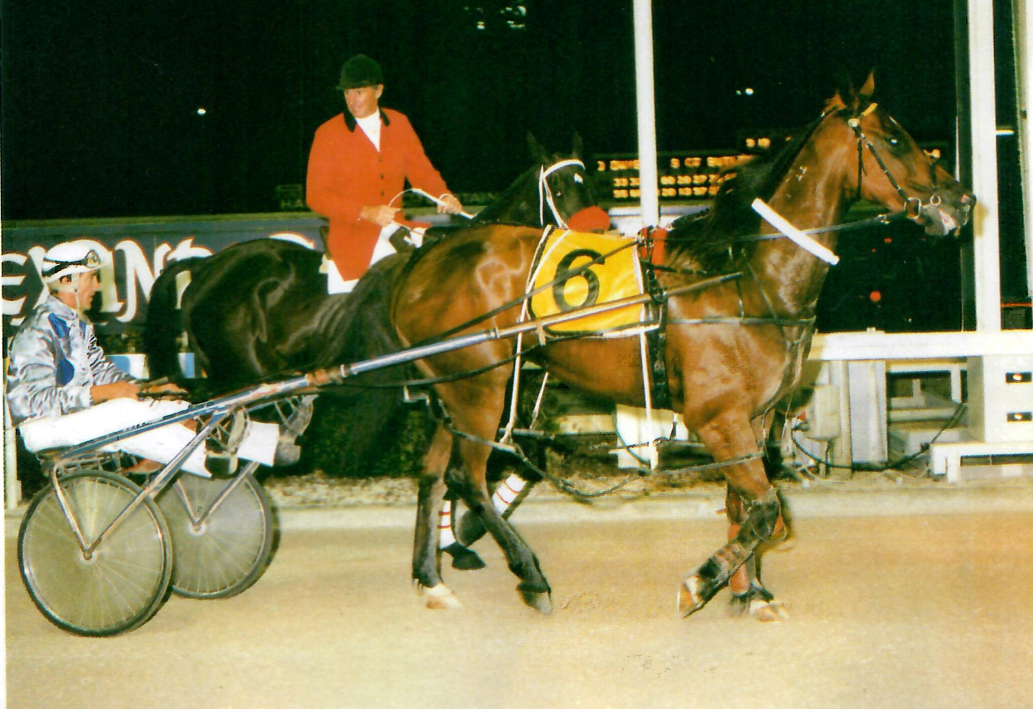 A G H. - Harness Cafe - RaceCafe NZ's Premier Racing Community