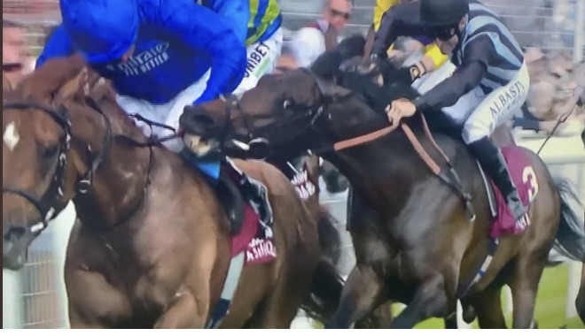 News from the North(ern) Hemisphere - Page 66 - Thoroughbred Cafe ...