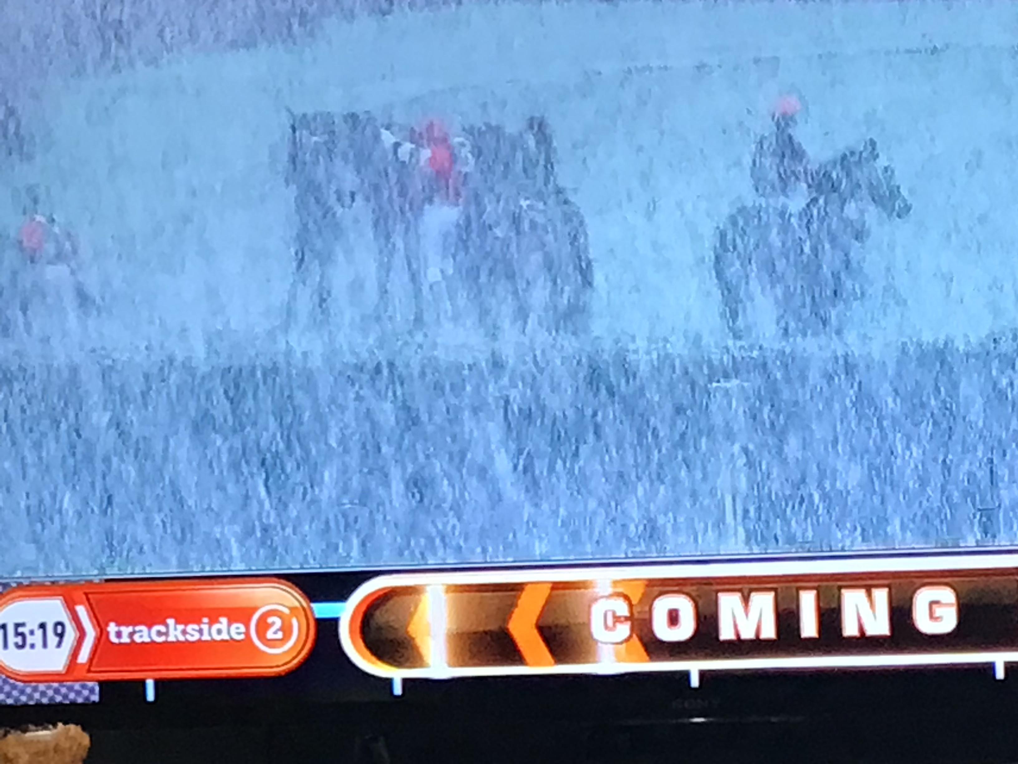 Wingatui today - Thoroughbred Cafe - RaceCafe NZ's Premier Racing Community