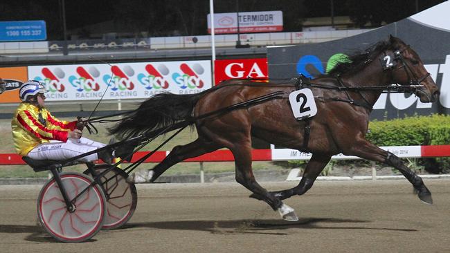 Free legged pacers - Harness Cafe - RaceCafe NZ's Premier Racing Community