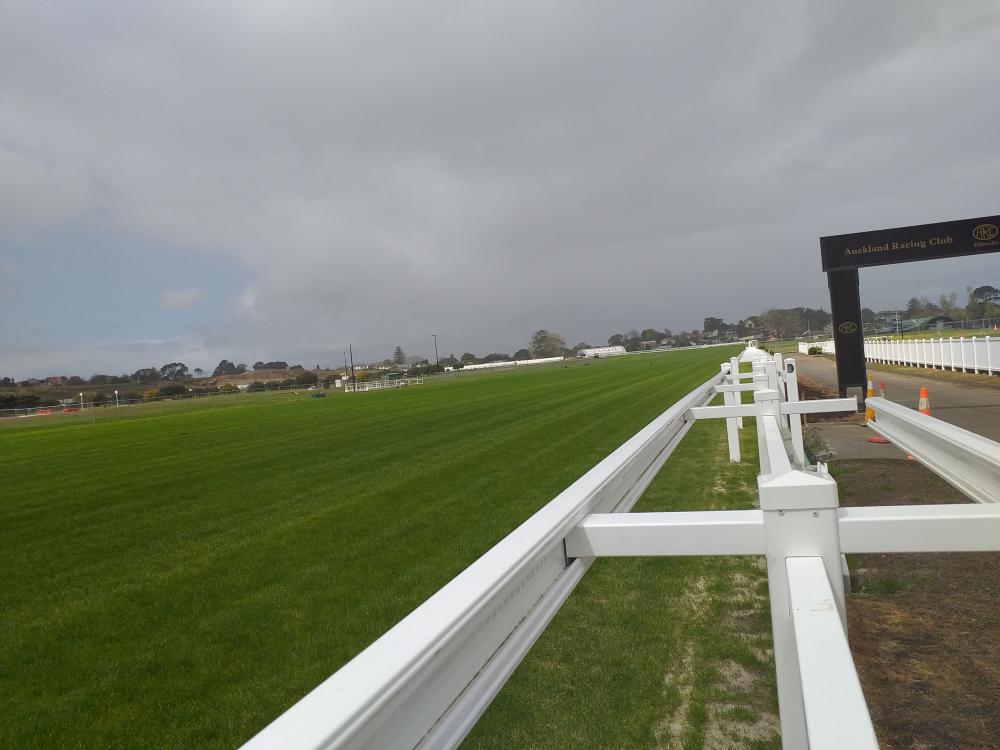 Ellerslie track and progress towards the Magic Millions. - Thoroughbred ...