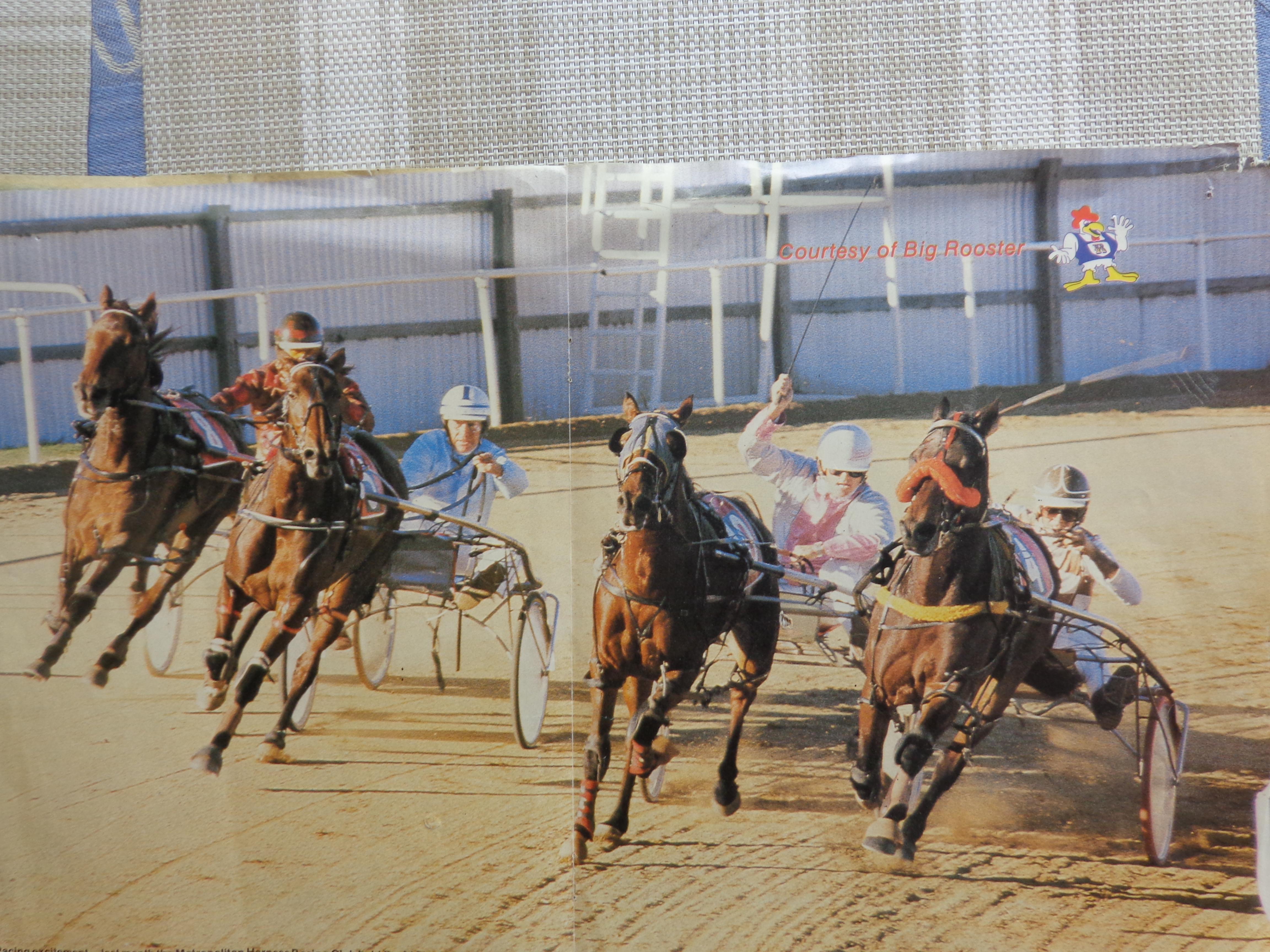 Sarah and Crystal Repping for New Zealand - Harness Cafe - RaceCafe NZ ...