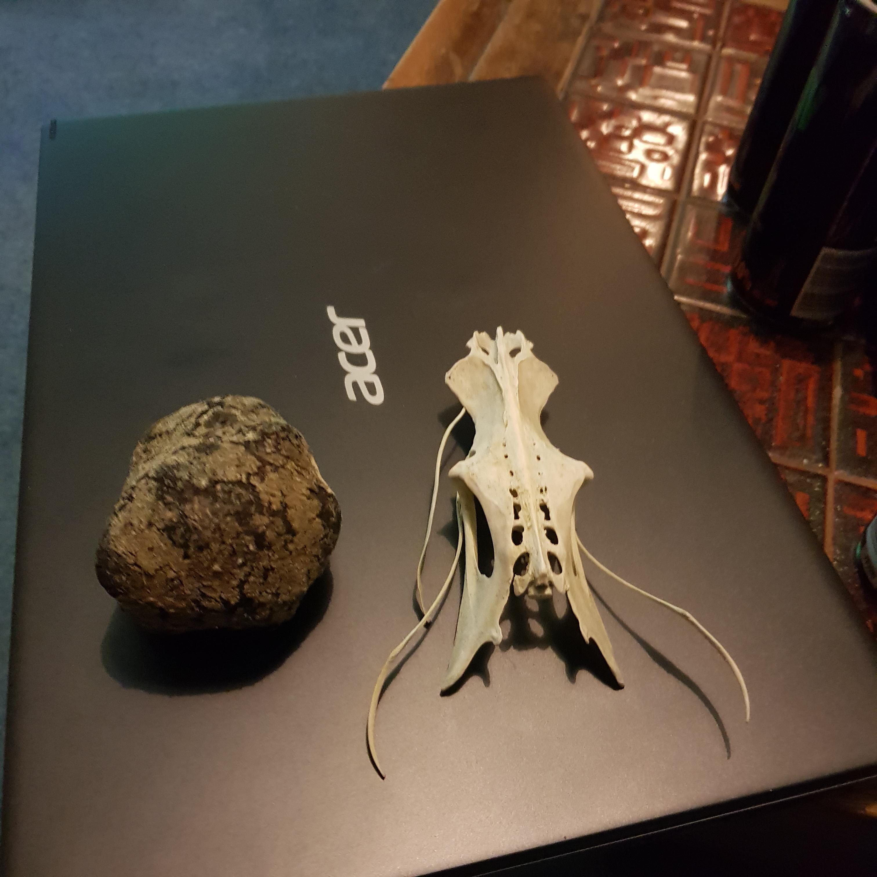 Challenge accepted Gruff - Main Street Cafe - RaceCafe NZ's Premier ...