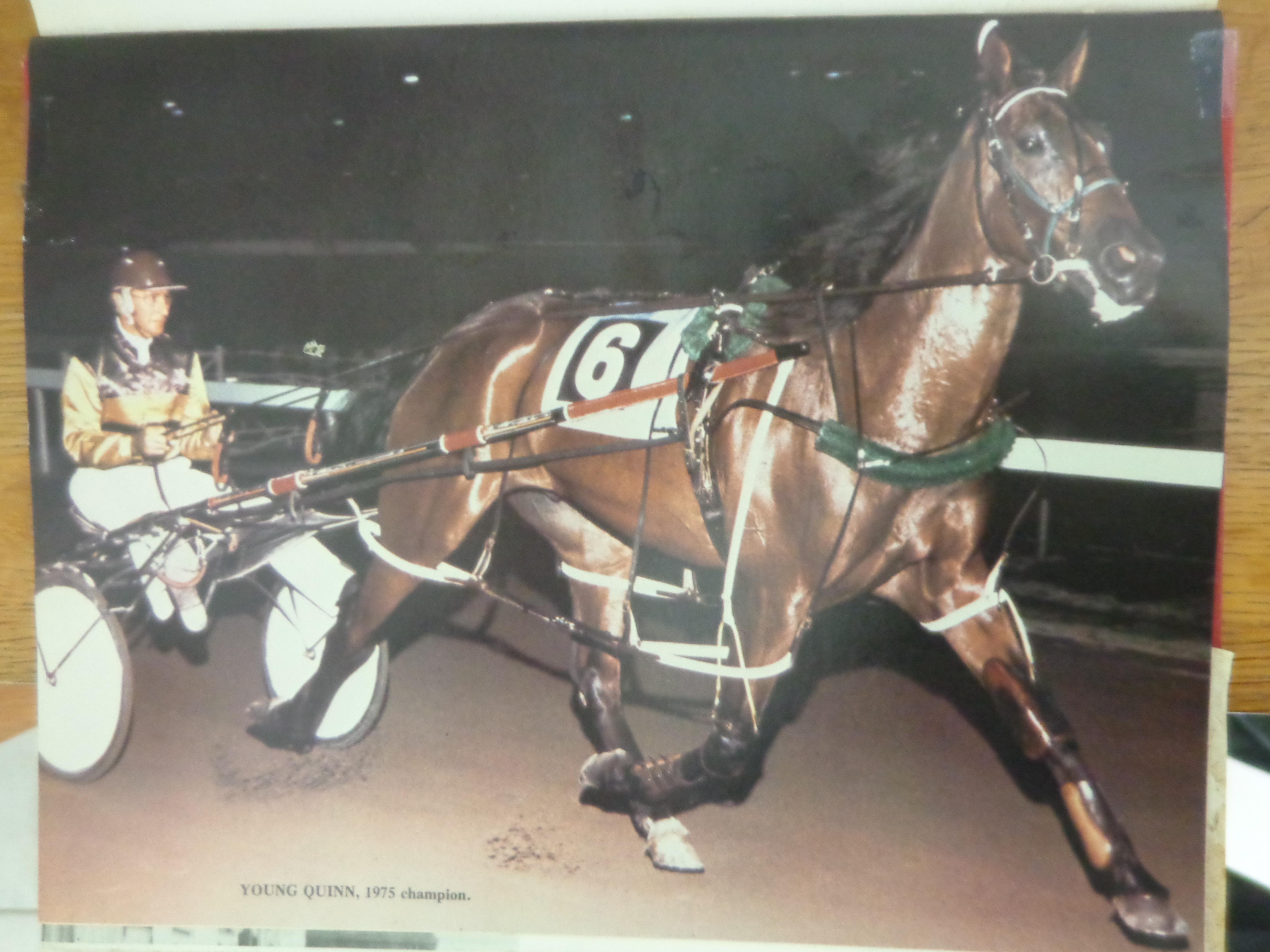 Driver,s colours - Harness Cafe - RaceCafe NZ's Premier Racing Community