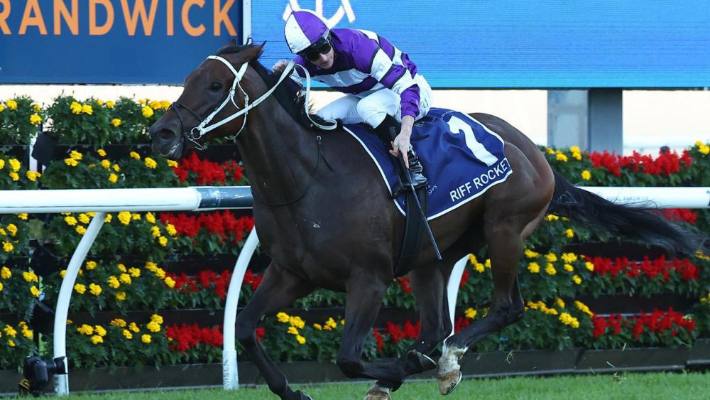 Vale Riff Rocket… - Thoroughbred Cafe - RaceCafe NZ's Premier Racing ...