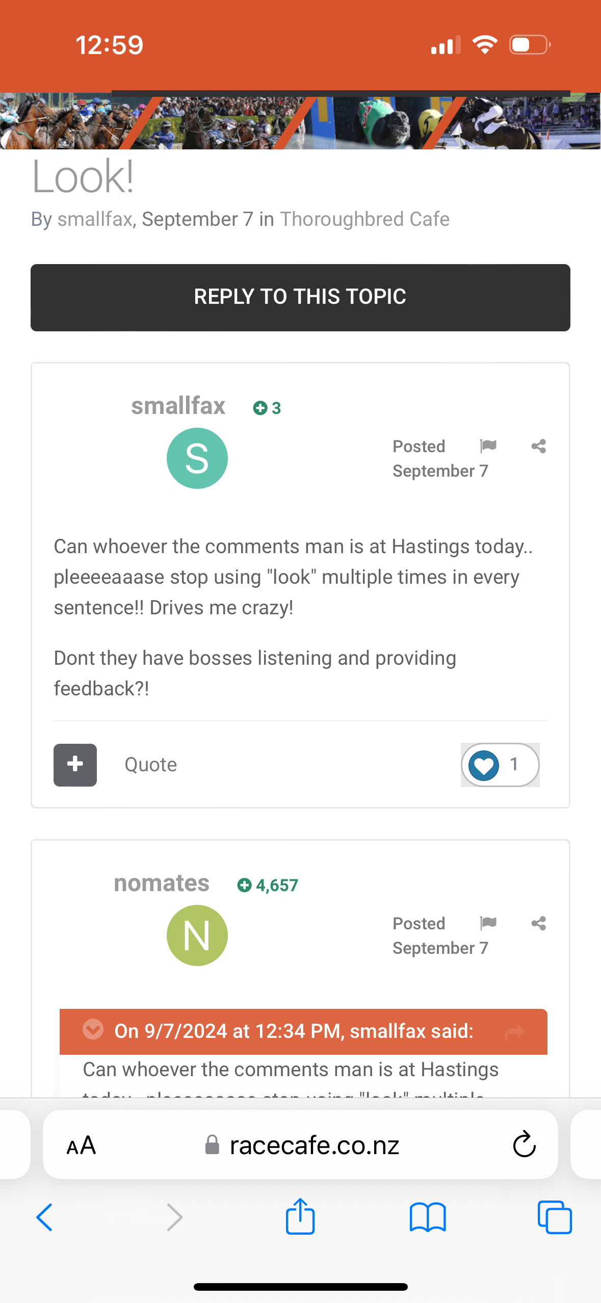 Look Innes - Thoroughbred Cafe - RaceCafe NZ's Premier Racing Community