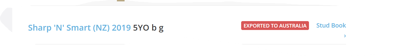 Sharp n Smart - Page 2 - Thoroughbred Cafe - RaceCafe NZ's Premier ...