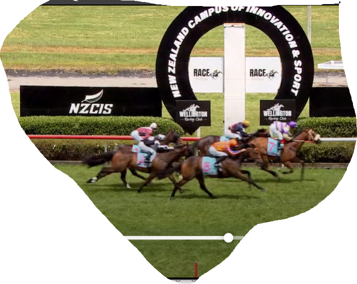 TAB got it wrong - Thoroughbred Cafe - RaceCafe NZ's Premier Racing ...