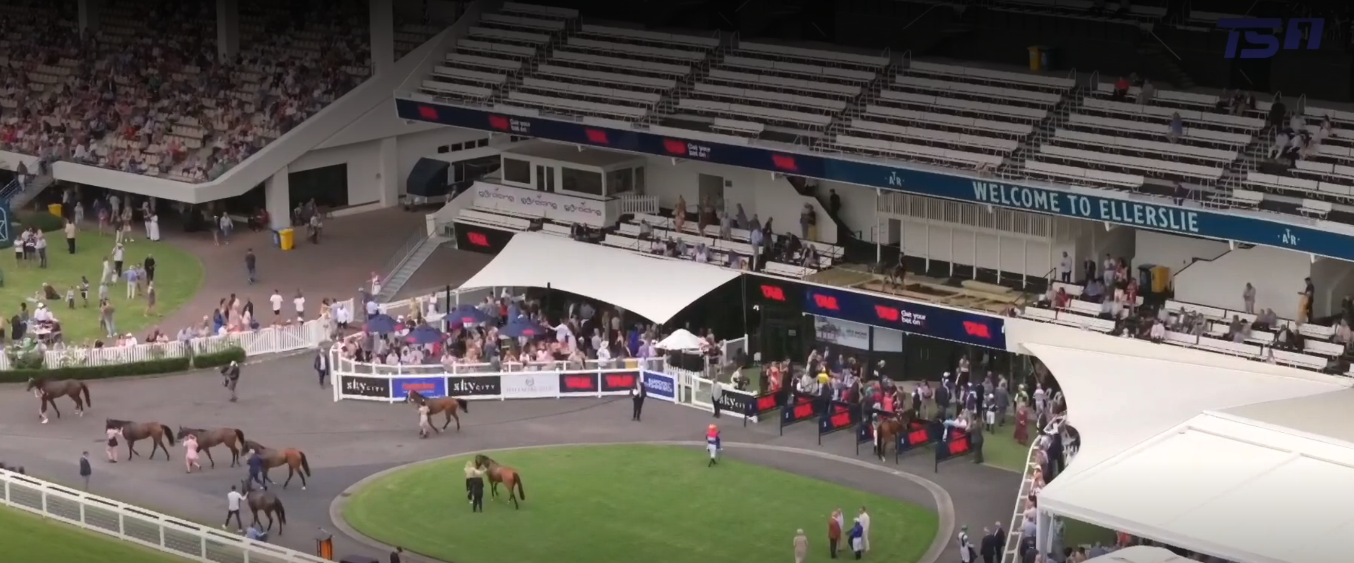 Ellerslie NYD - Page 2 - Thoroughbred Cafe - RaceCafe NZ's Premier ...