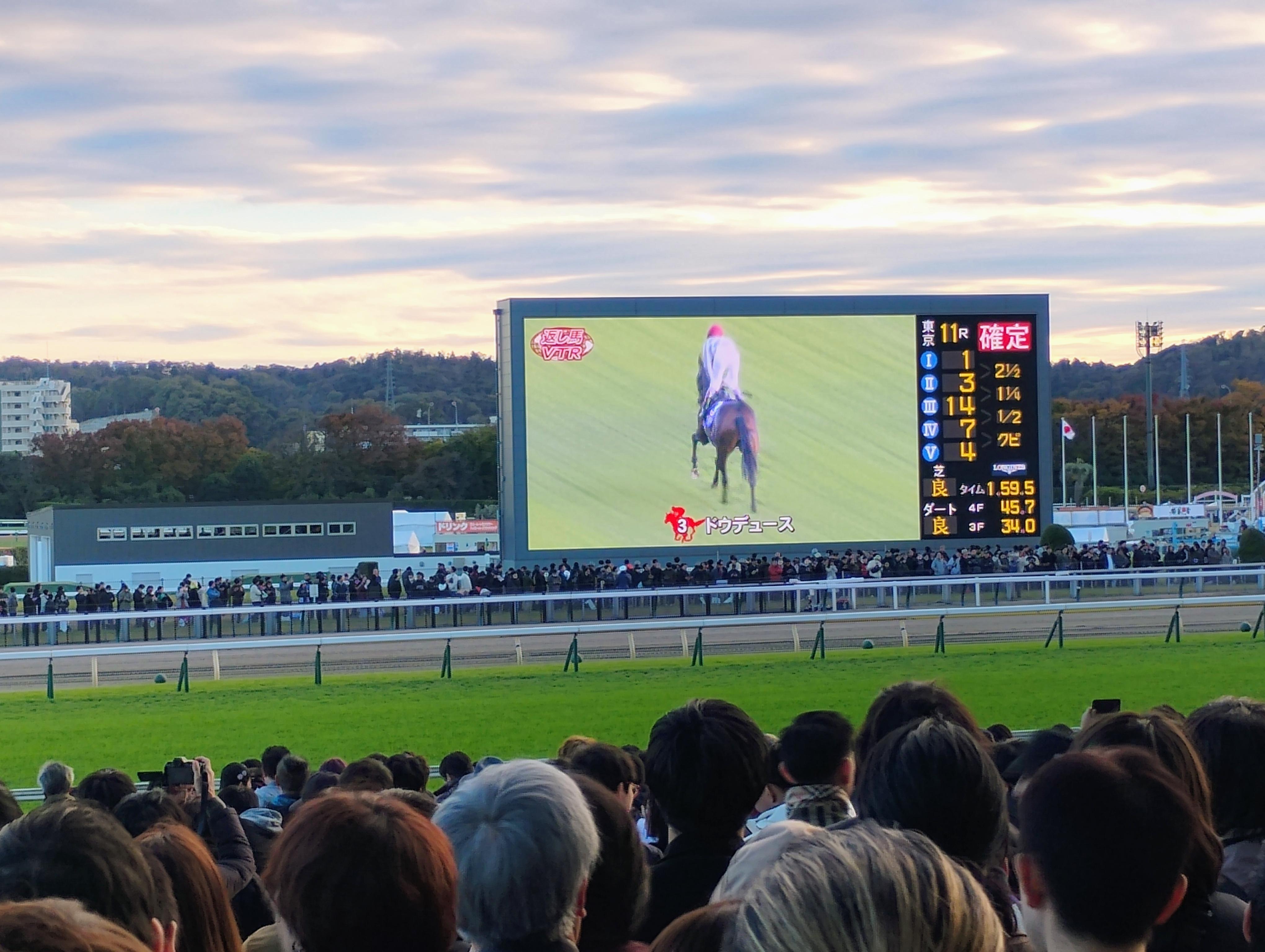 Ellerslie today…. - Page 2 - Thoroughbred Cafe - RaceCafe NZ's Premier ...