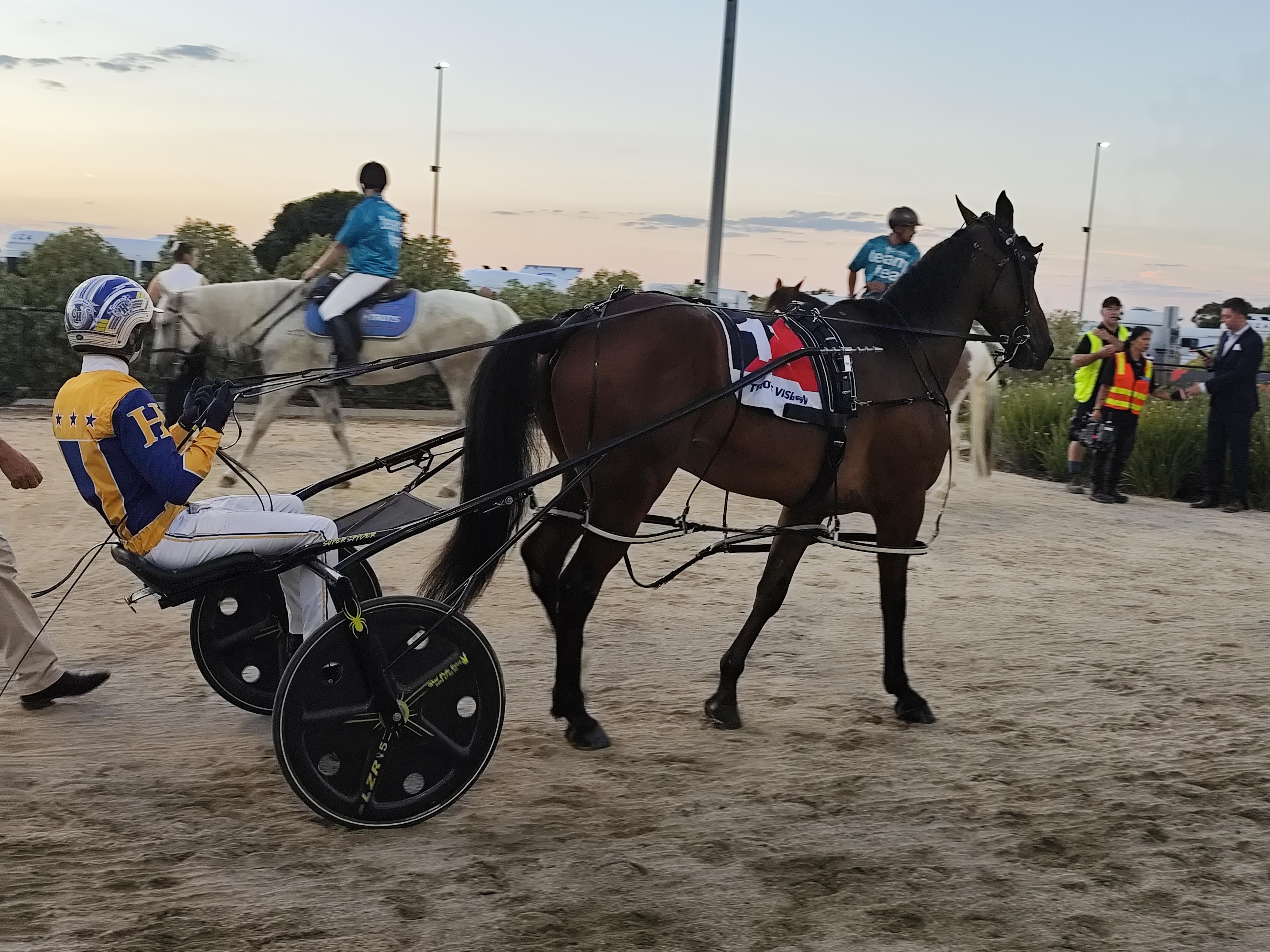 HUNTER CUP 2025 - Harness Cafe - RaceCafe NZ's Premier Racing Community