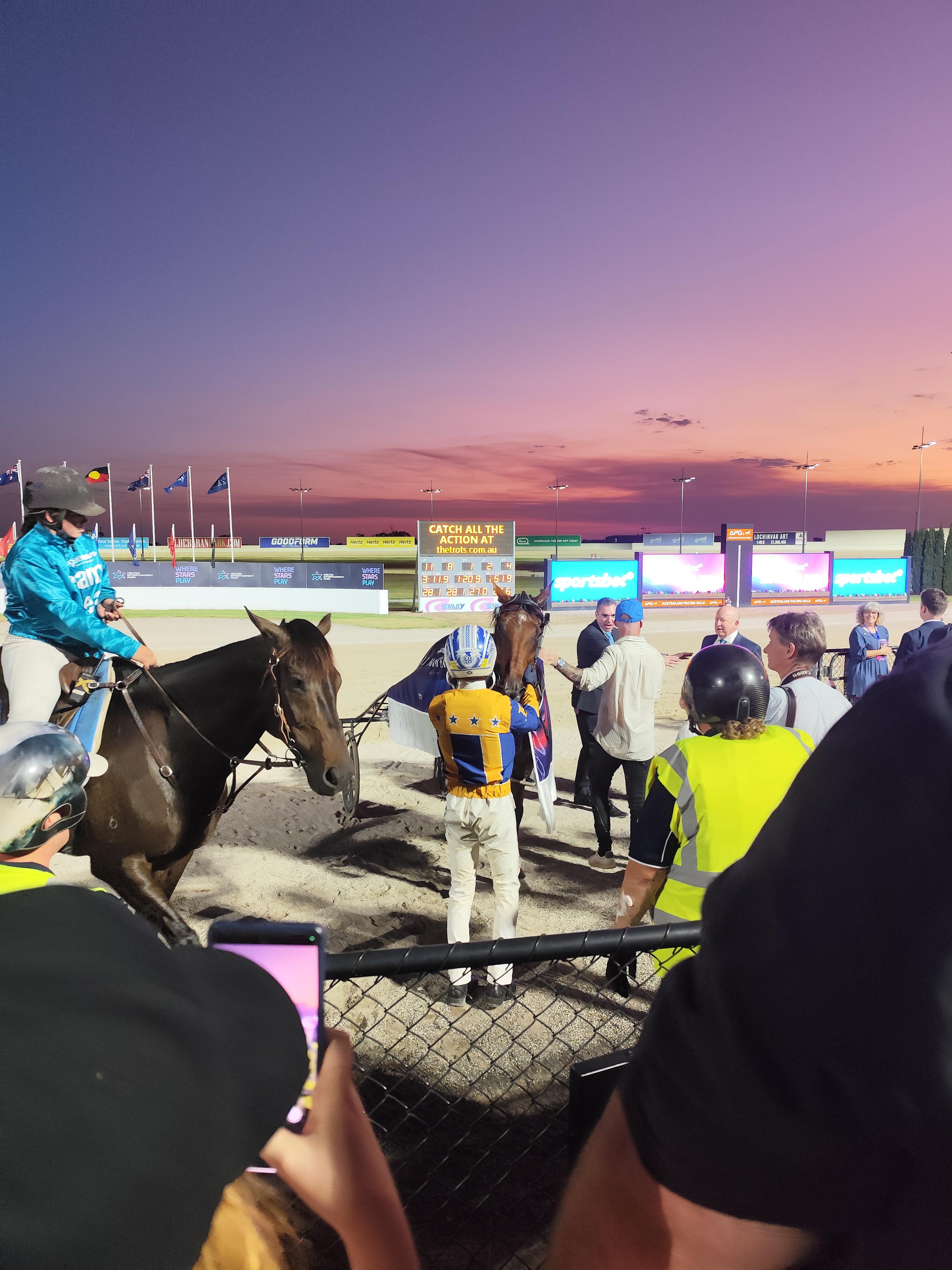 HUNTER CUP 2025 - Harness Cafe - RaceCafe NZ's Premier Racing Community