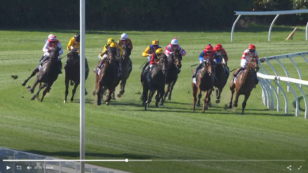 Awapuni - Thoroughbred Cafe - RaceCafe NZ's Premier Racing Community