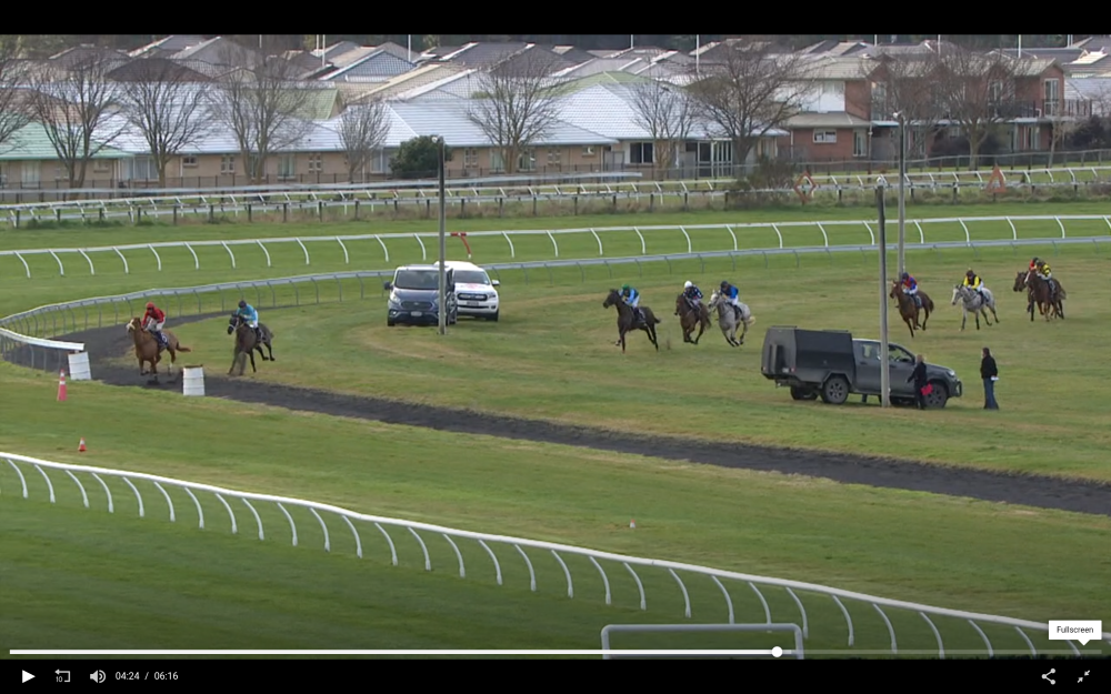 Wellington Steeplechase Trackside Coverage - Page 2 - Thoroughbred Cafe ...