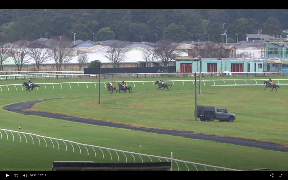 Wellington Steeplechase Trackside Coverage - Page 2 - Thoroughbred Cafe ...
