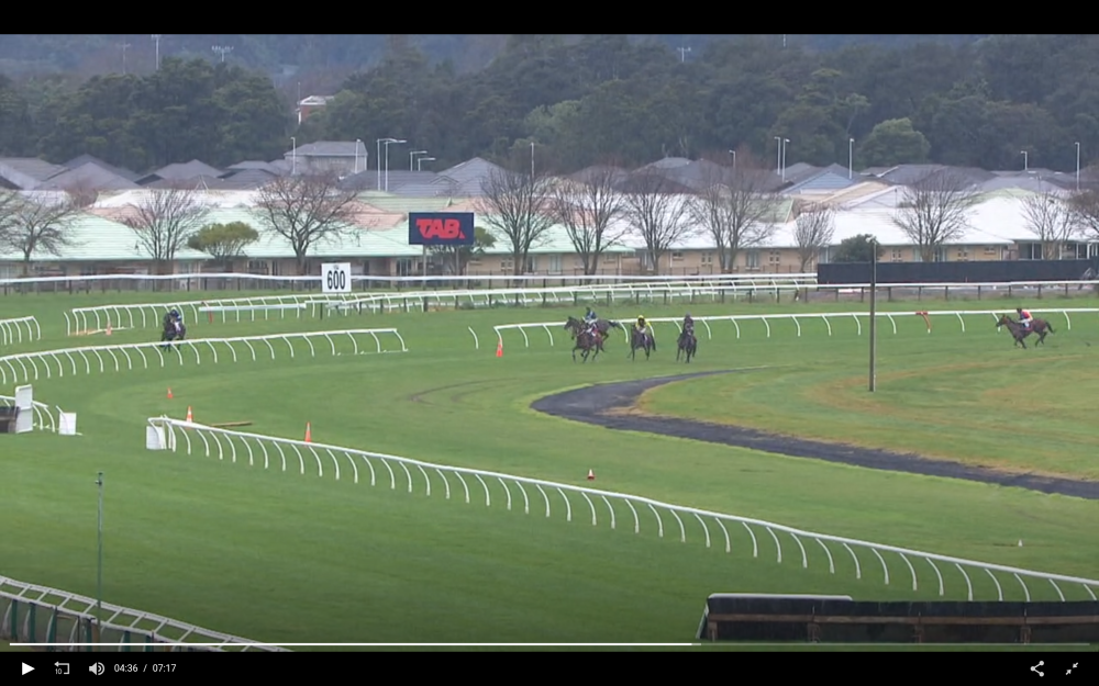 Wellington Steeplechase Trackside Coverage - Page 2 - Thoroughbred Cafe ...