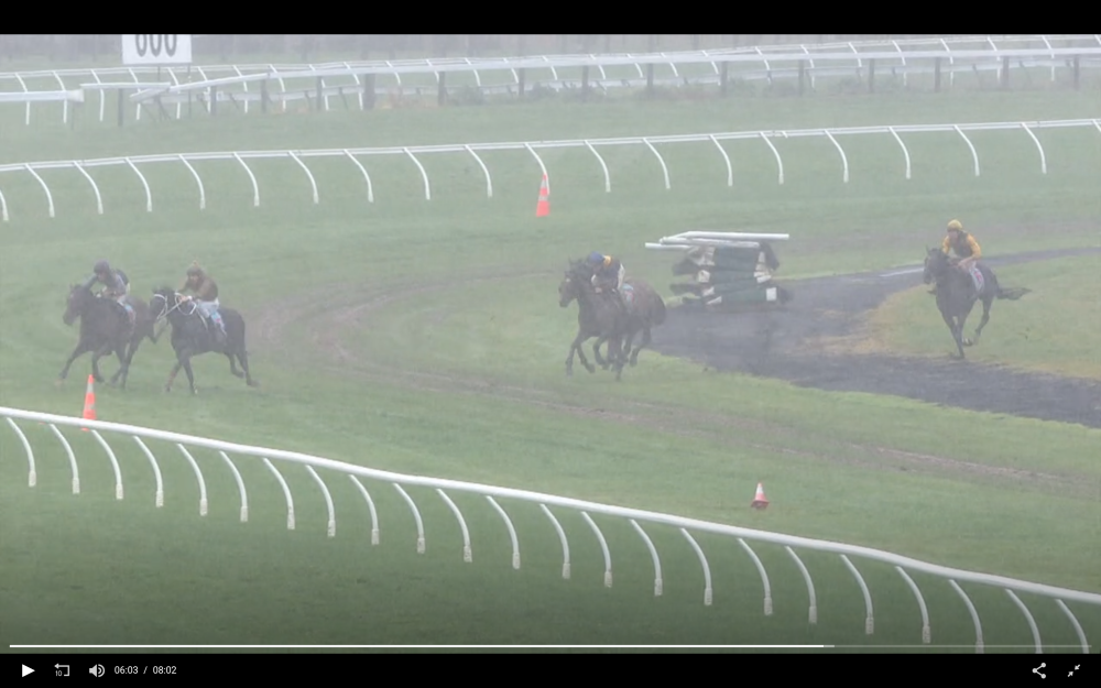 Wellington Steeplechase Trackside Coverage - Page 2 - Thoroughbred Cafe ...