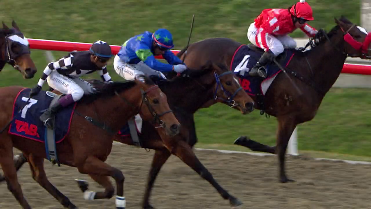 Changes To Whip Rules - Page 8 - Thoroughbred Cafe - RaceCafe NZ's ...