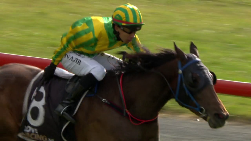 Changes To Whip Rules - Page 12 - Thoroughbred Cafe - RaceCafe NZ's ...