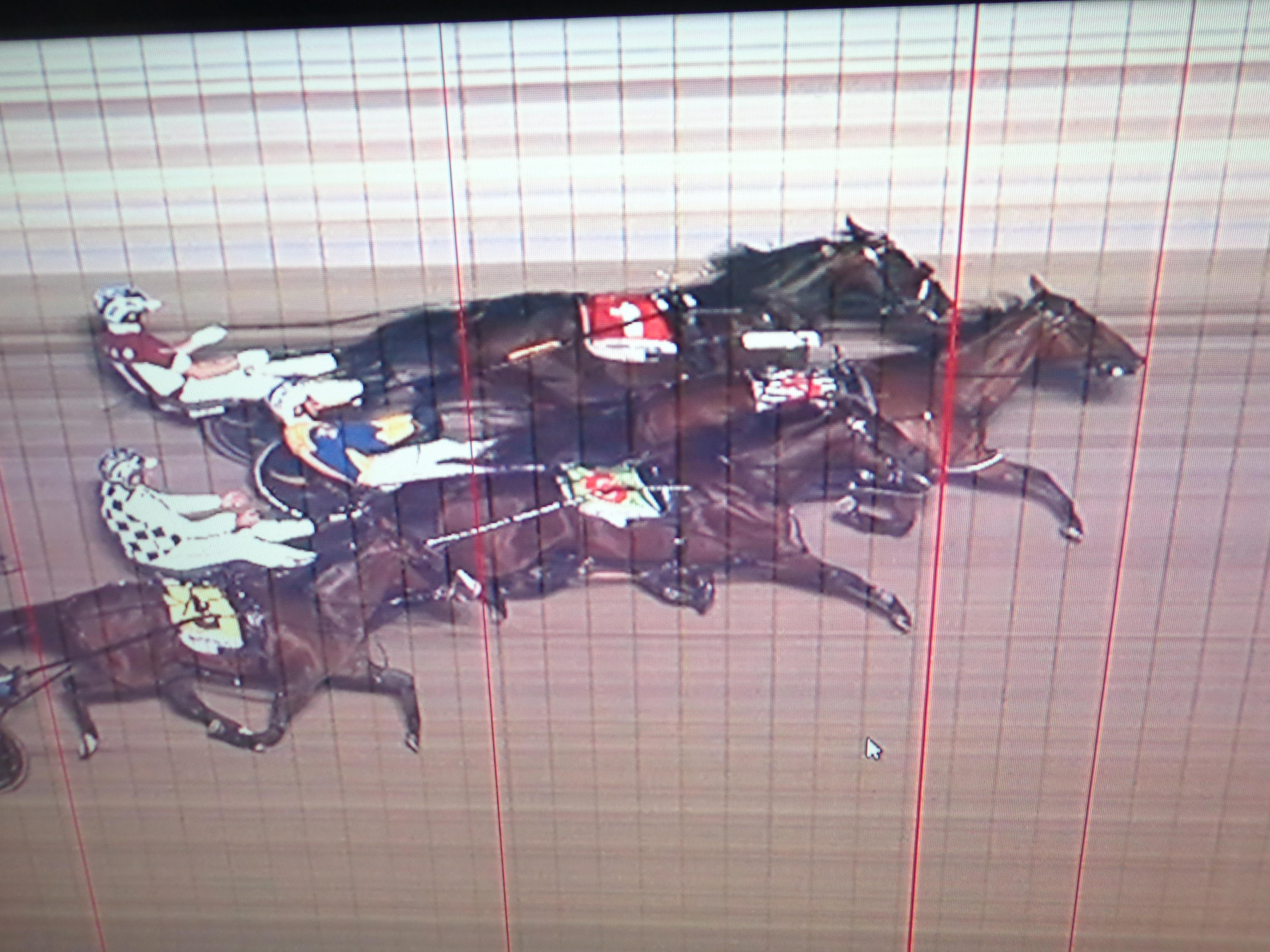 Hunter Cup - Harness Cafe - RaceCafe NZ's Premier Racing Community